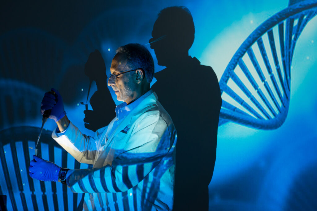 Why do we need sharks? - Save Our Seas Foundation