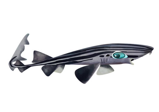 Pyjama shark - Save Our Seas Foundation