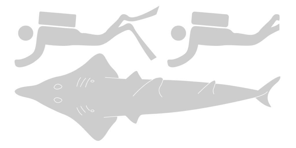 Bottlenose wedgefish - Save Our Seas Foundation