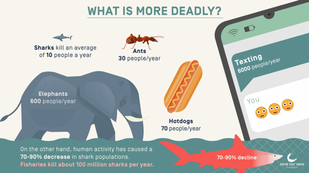 Why do sharks bite people? - Save Our Seas Foundation