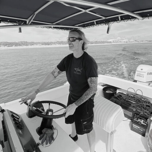 How do marine animals navigate the ocean? - Save Our Seas Foundation