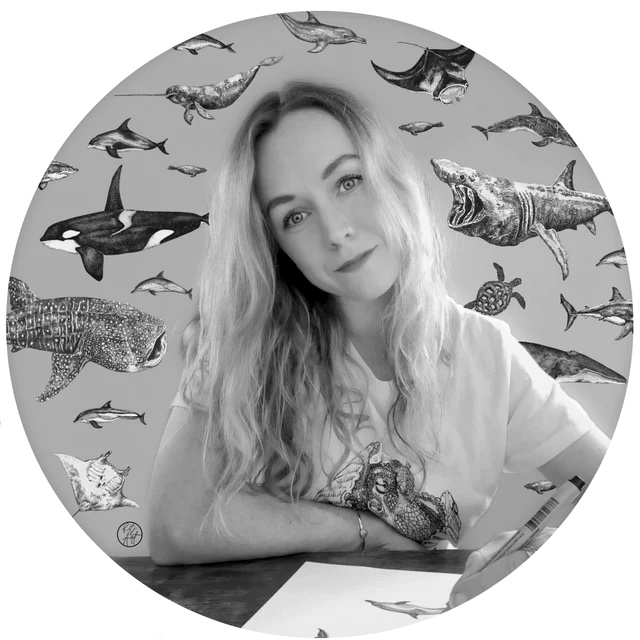 How can art help shark conservation? - Save Our Seas Foundation