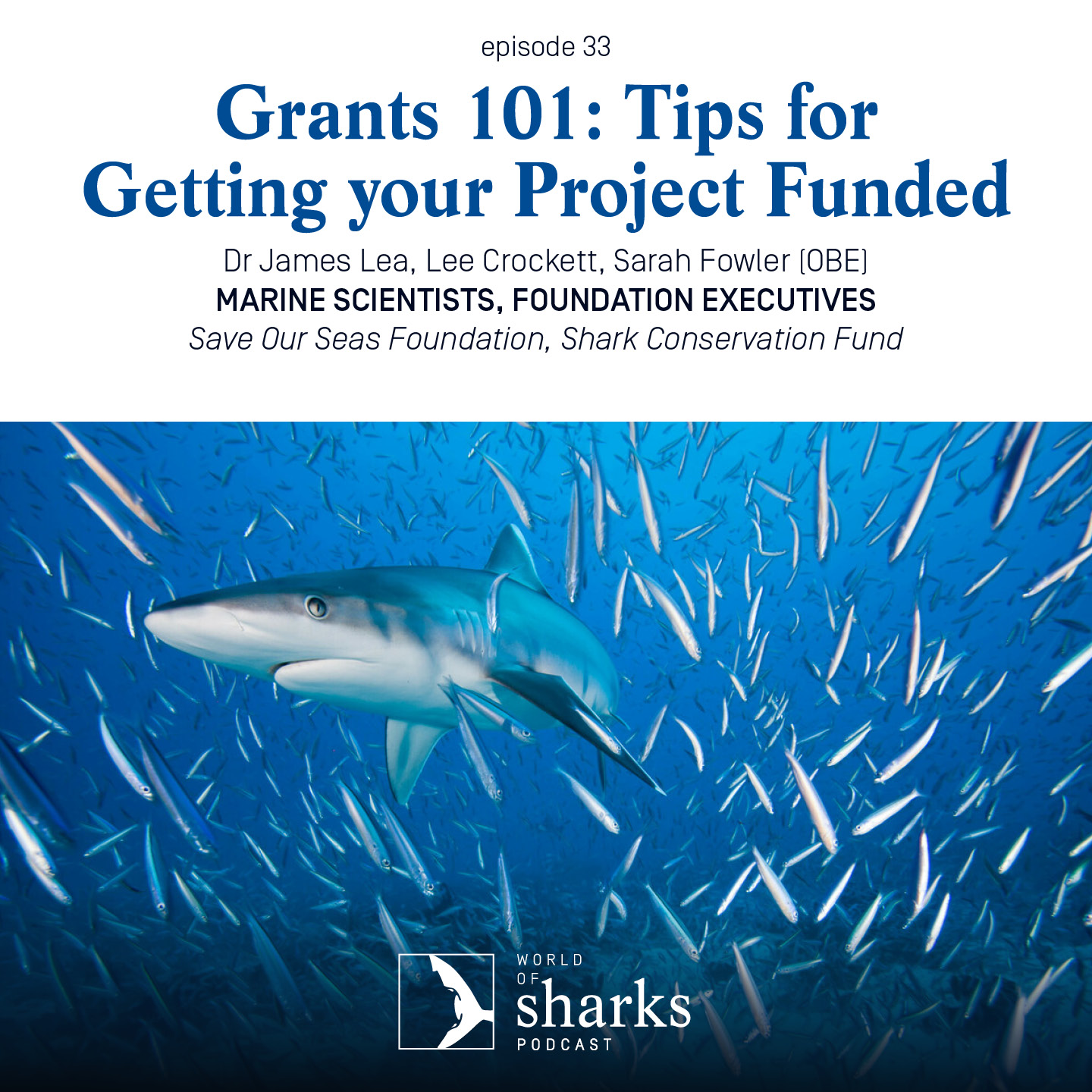 Grants 101: Tips for getting your project funded - Save Our Seas Foundation