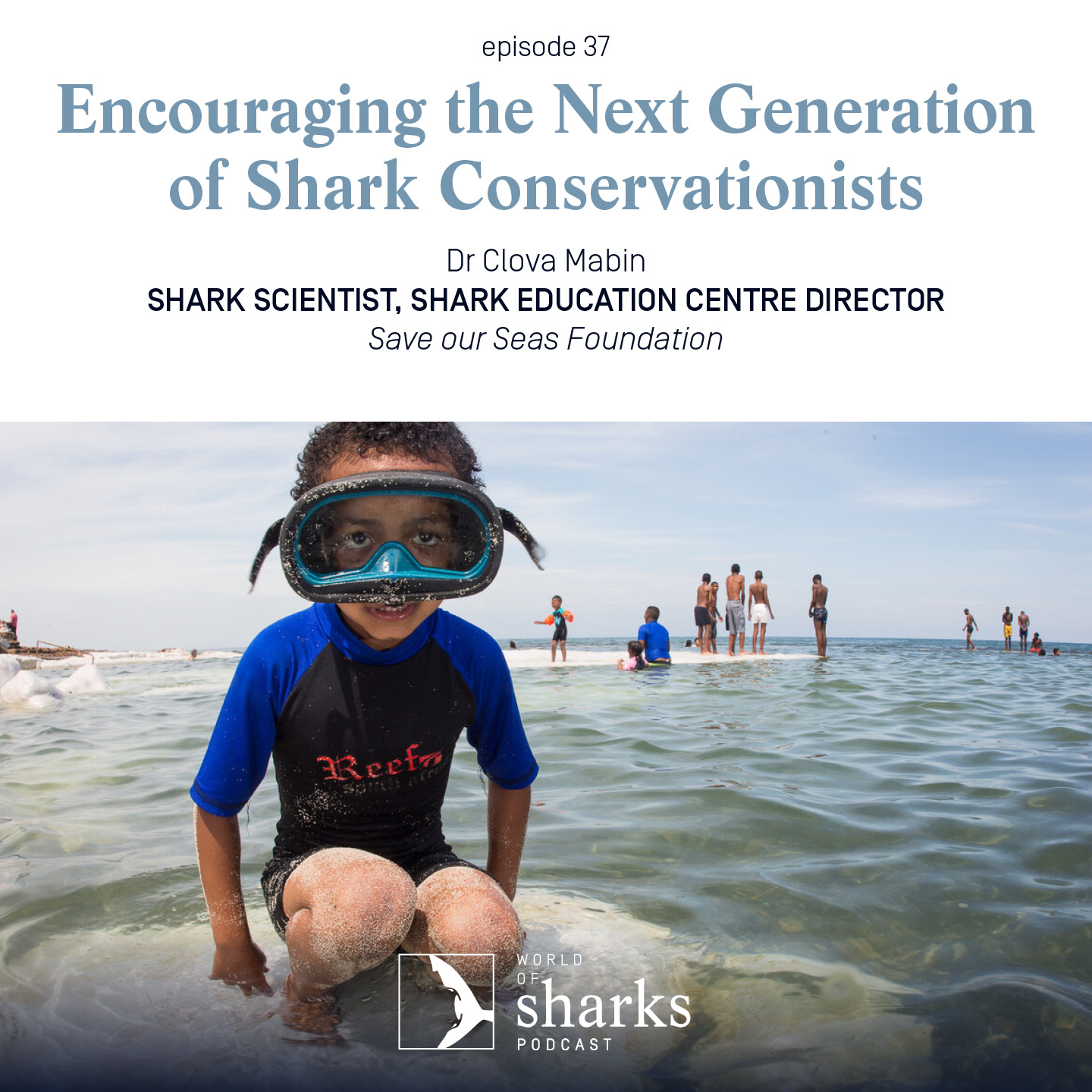 Encouraging the next generation of shark conservationists - Save Our ...