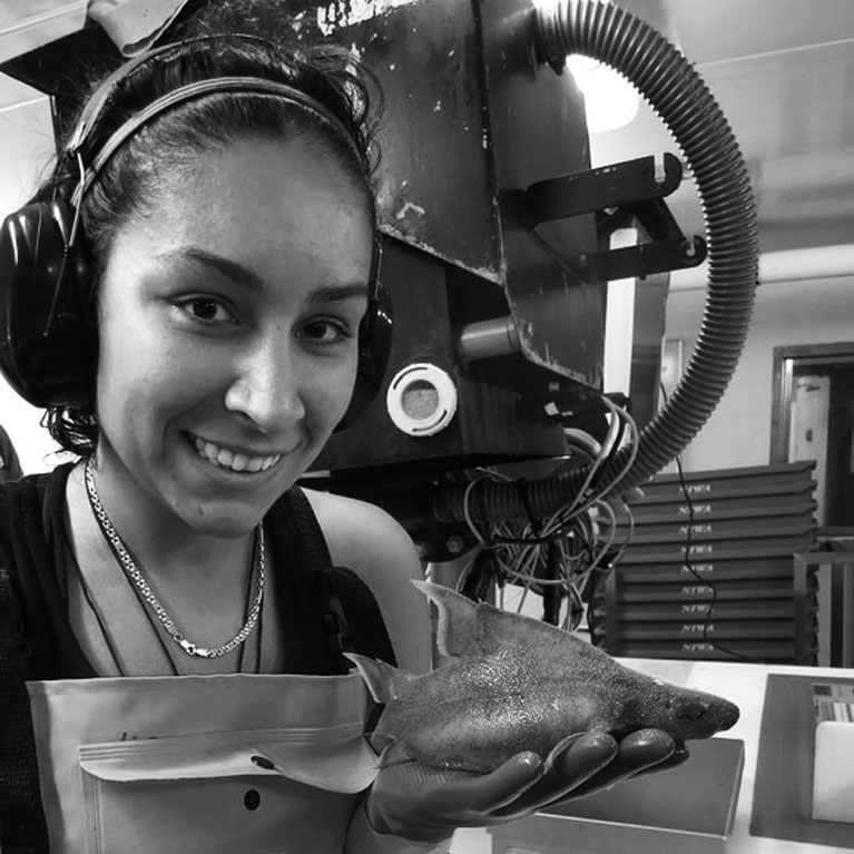 Celebrating weird, wonderful and obscure sharks - Save Our Seas Foundation