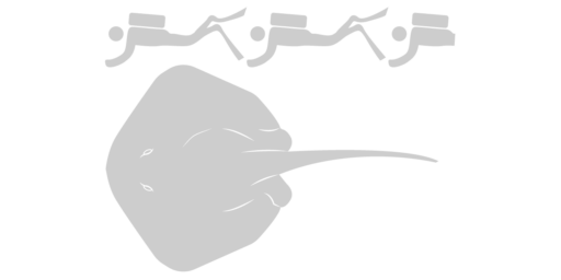 Short-tail stingray - Save Our Seas Foundation