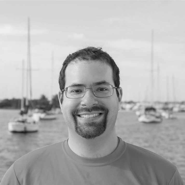 The mystery of Charlotte, the pregnant stingray - Save Our Seas Foundation