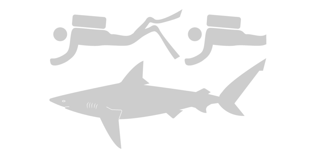 Bronze whaler shark - Save Our Seas Foundation