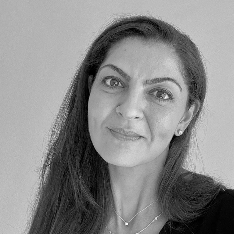 What’s Happening to the World’s Sharks and Rays? - Save Our Seas Foundation